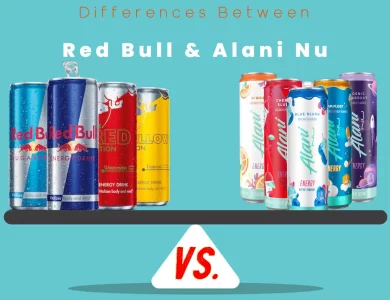 Difference Between Red Bull and Yerba Mate
