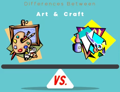 Faculty vs School: Understanding Key Differences