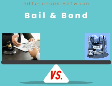 Act vs Law: Key Differences Explained