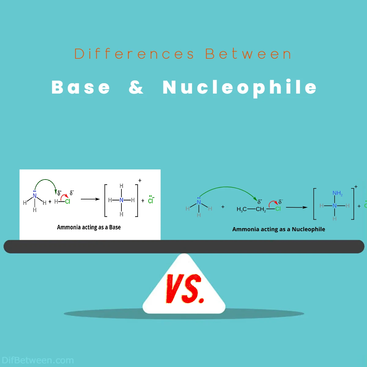 Base vs Nucleophile: Understanding the Key Differences