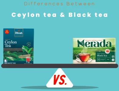 Red Tea vs Black Tea: Unveiling Key Differences