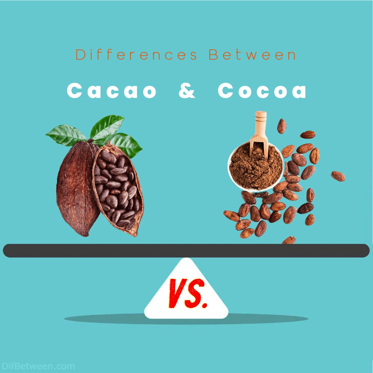 Cacao vs Cocoa: Exploring the Differences