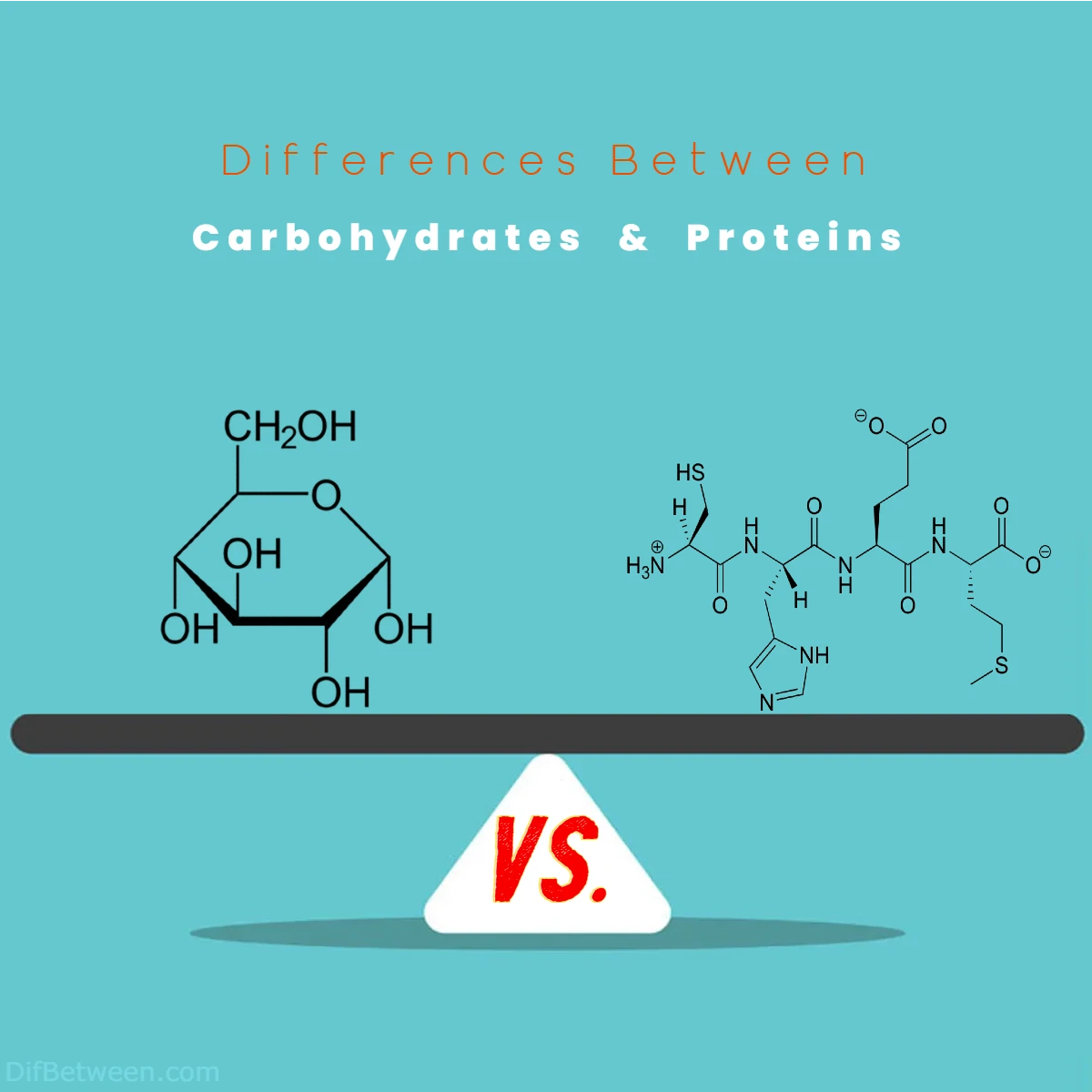 Carbs vs Proteins: Nutritional Contrasts