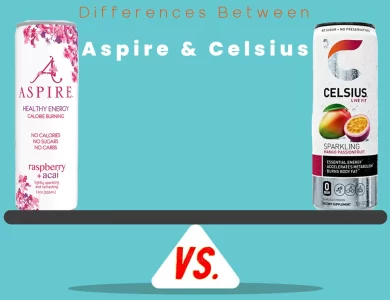 Celsius vs. Monster: Energy Drink Showdown