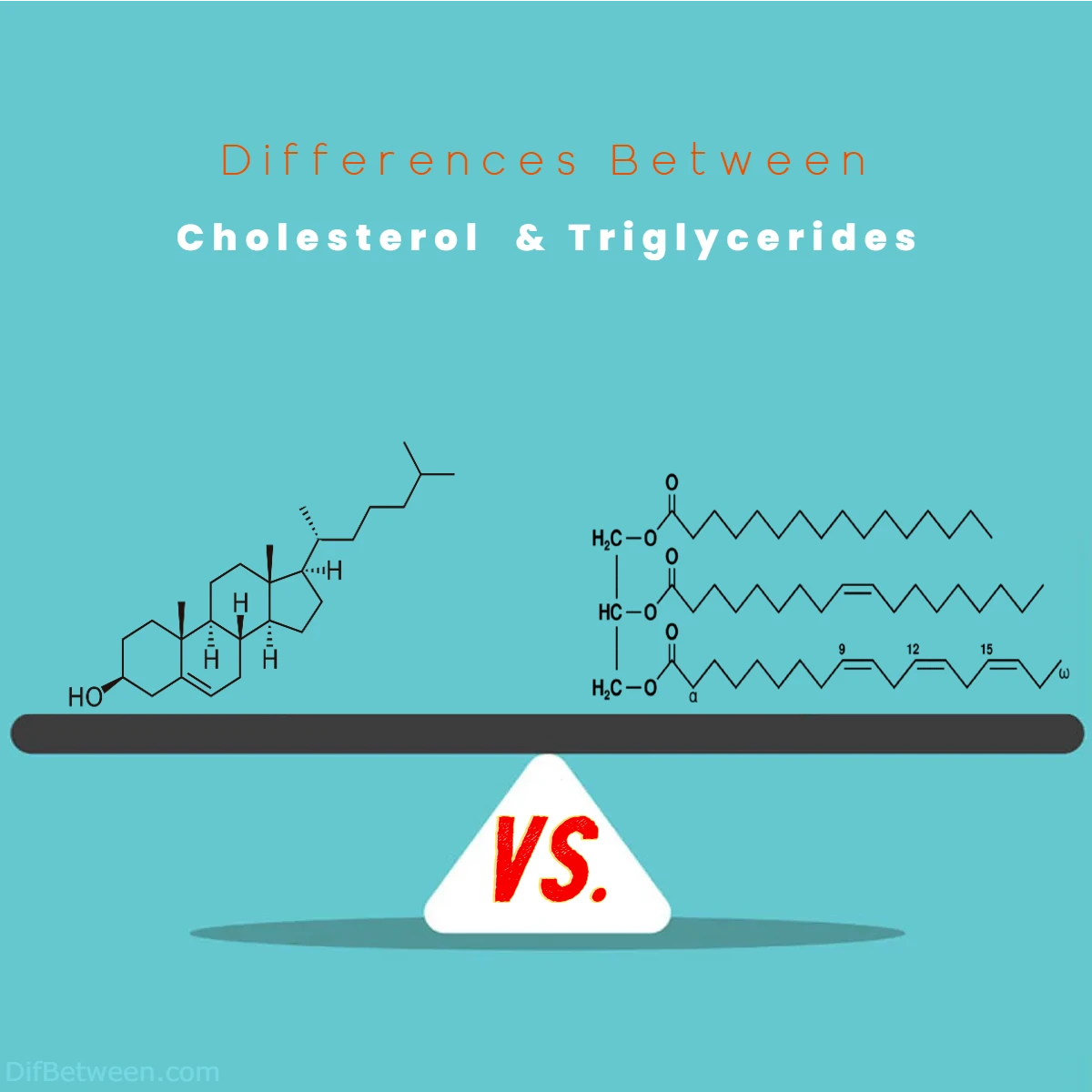 Cholesterol vs Triglycerides: Essential Contrasts Explained