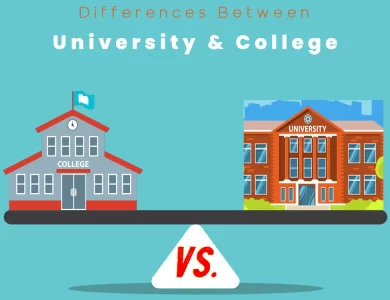 Faculty vs School: Understanding Key Differences