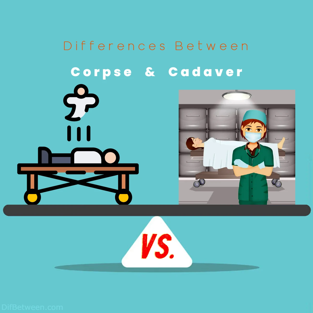 Corpse vs Cadaver: Key Distinctions Explained