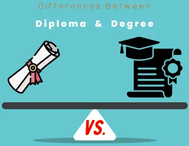Faculty vs School: Understanding Key Differences