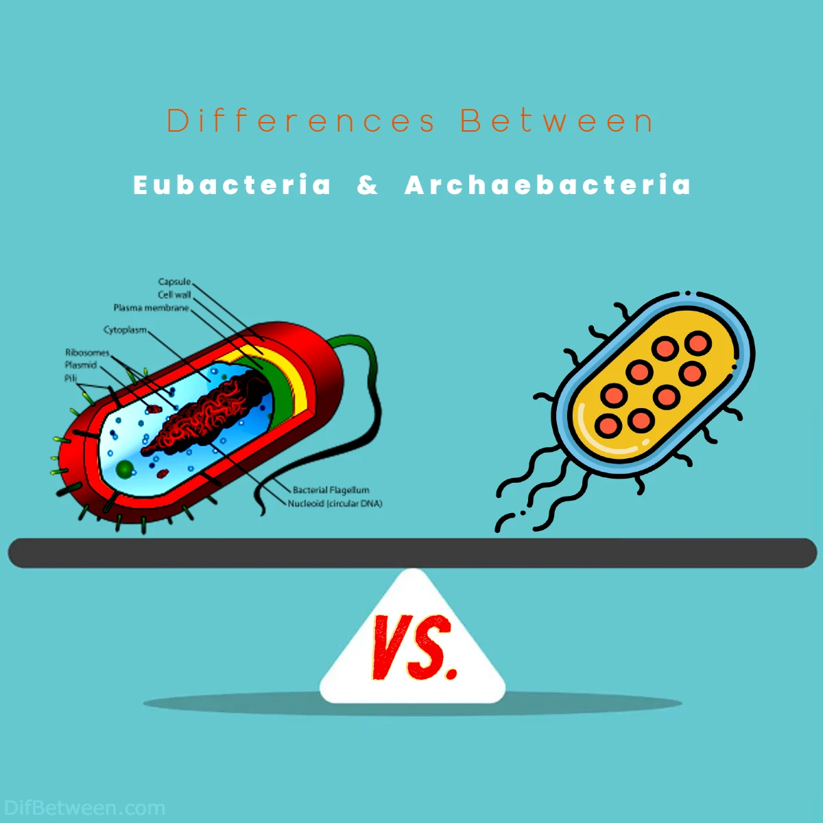 Eubacteria vs Archaebacteria: Key Differences Unveiled
