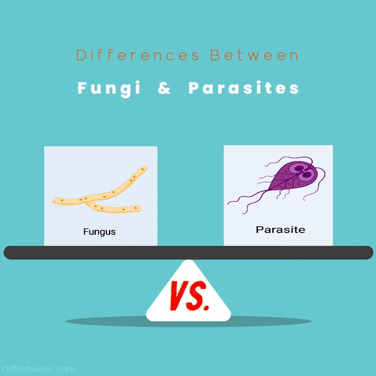 Fungi vs Parasites: Unveiling the Key Differences