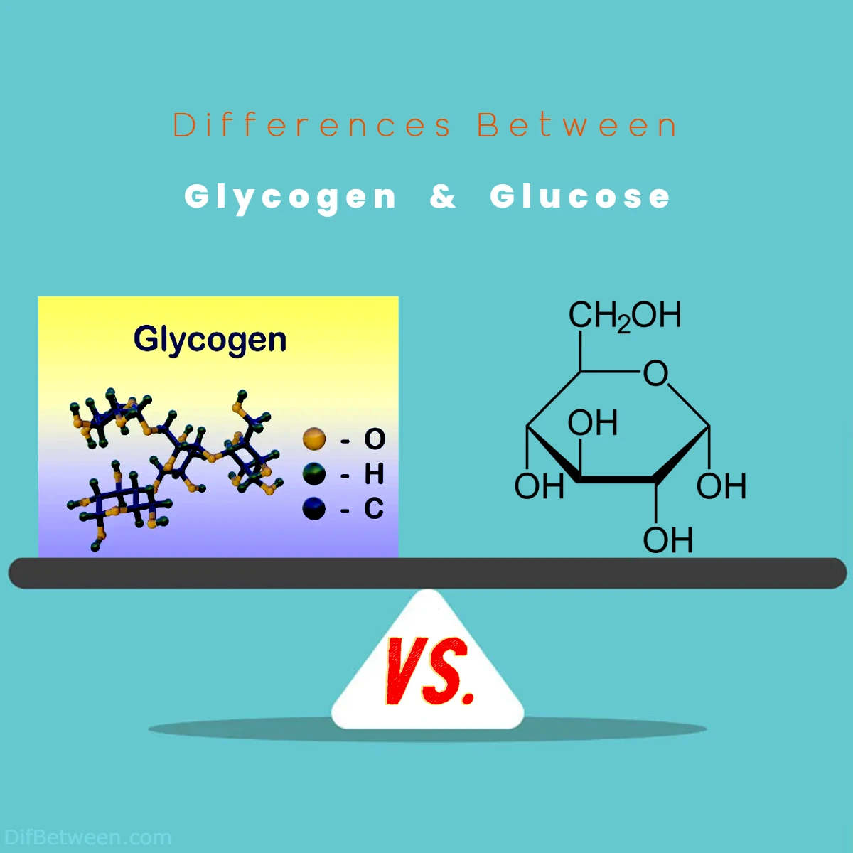 Glycogen vs. Glucose: Understanding the Key Differences