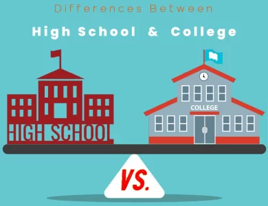 Faculty vs School: Understanding Key Differences