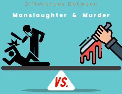 Act vs Law: Key Differences Explained