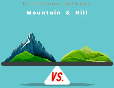 Madam vs. Madame: Linguistic Differences Explored