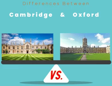 Faculty vs Department: Key Academic Differences