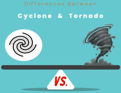 Cyclone vs Hurricane: Key Distinctions Explained