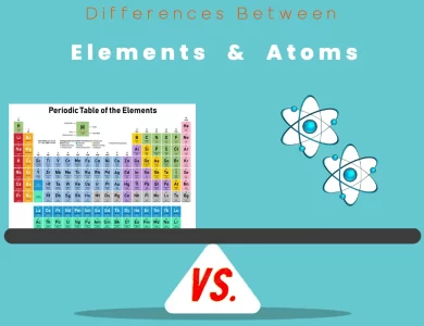 Organic vs Inorganic Substances: Understanding the Differences