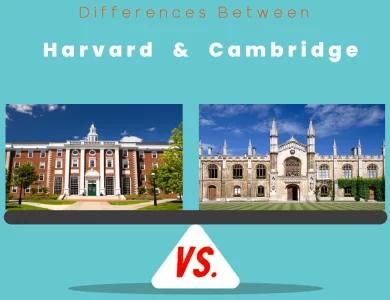 Cambridge vs Oxford: Key Differences and Considerations
