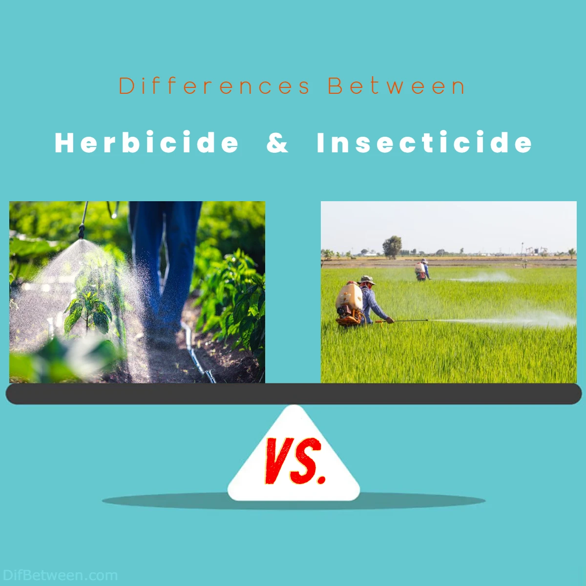 Herbicide vs Insecticide: Understanding Key Differences