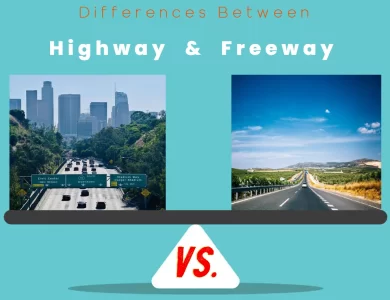 Business Class vs First Class: Key Differences and Features