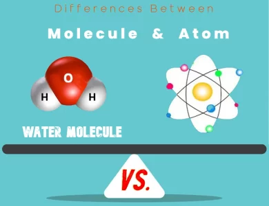 Organic vs Inorganic Substances: Understanding the Differences
