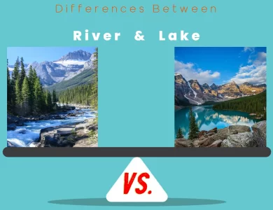 Surface Water vs Ground Water: Key Differences