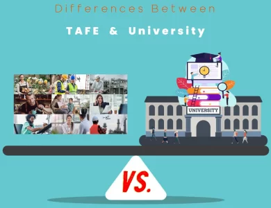 Faculty vs Department: Key Academic Differences