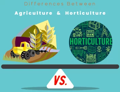Agriculture vs Farming: Key Distinctions