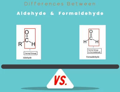 Base vs Nucleophile: Understanding the Key Differences