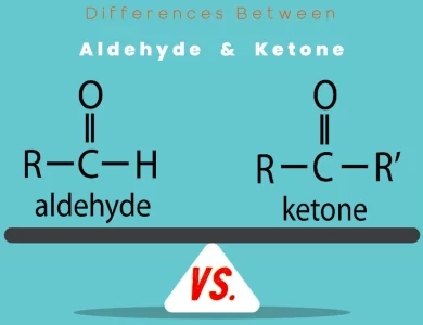 Phenol vs Phenyl: Unveiling Key Differences