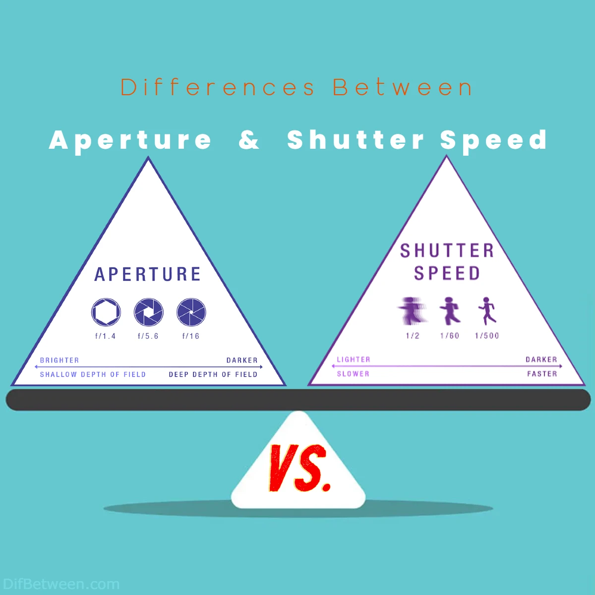 Aperture vs. Shutter Speed: Key Differences