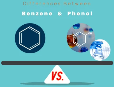Base vs Nucleophile: Understanding the Key Differences