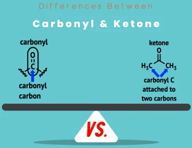 Ethane vs Ethanol: Unveiling Key Differences