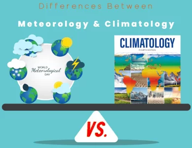 Art vs Nature: Key Contrasts Unveiled