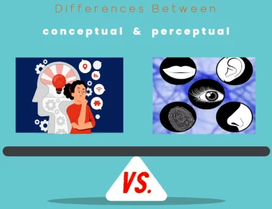 Cognition vs. Metacognition: Understanding Key Differences