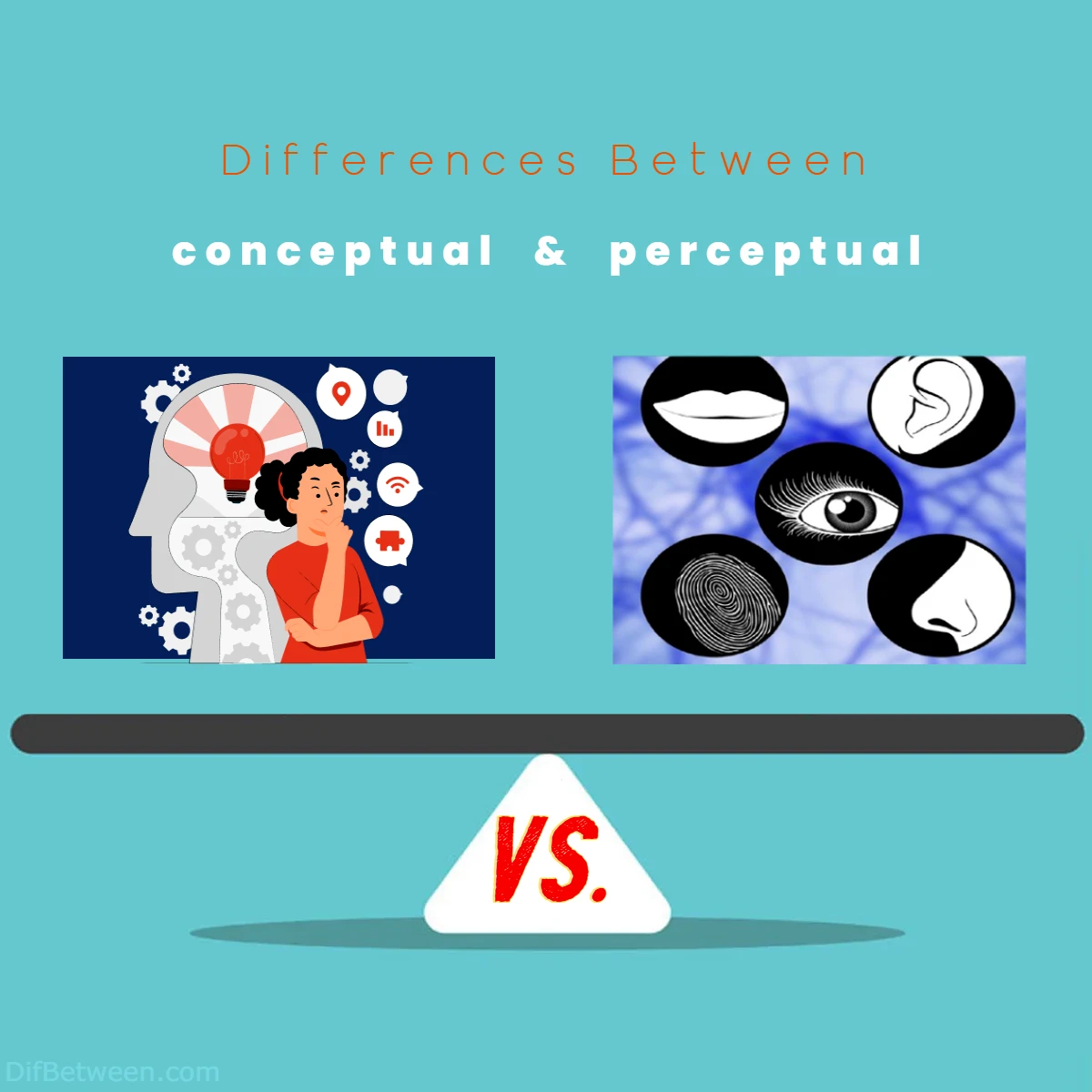 Conceptual vs Perceptual Thinking: Key Differences