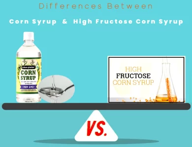 Lunch vs Luncheon: Exploring Key Differences