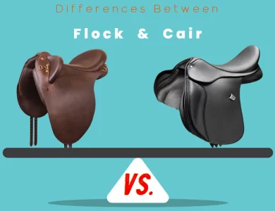 Left vs Right Handed Bow: Essential Differences
