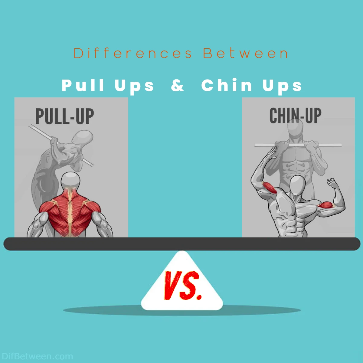 Pull Ups vs Chin Ups: Choose the Right One