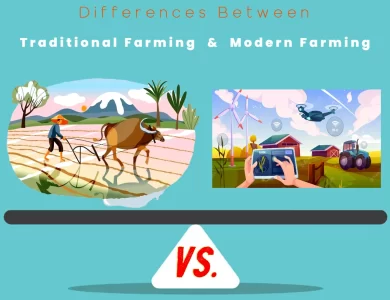 Agriculture vs Farming: Key Distinctions