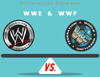 Muay Thai vs Kickboxing: Striking Differences