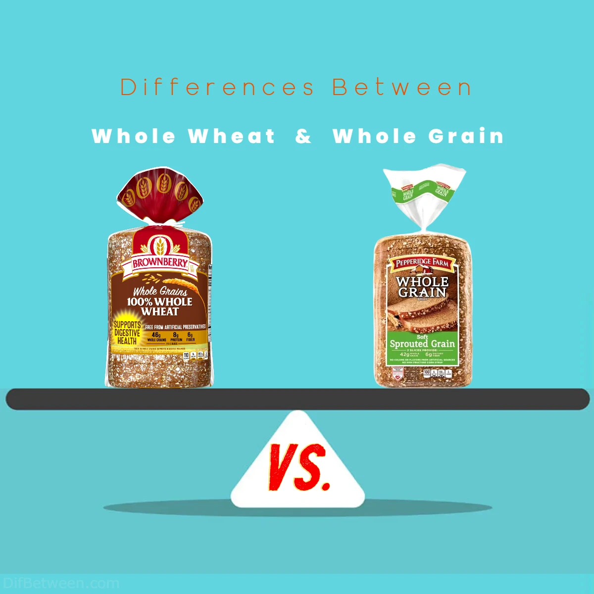 Whole Wheat vs. Whole Grain: Nutritional Differences Explained