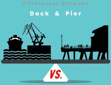 Exploring Preclude vs Exclude: Key Differences
