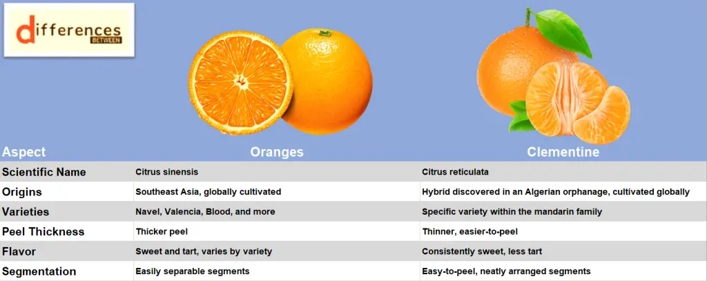 Orange vs Clementine: Citrus Fruit Differences Unveiled