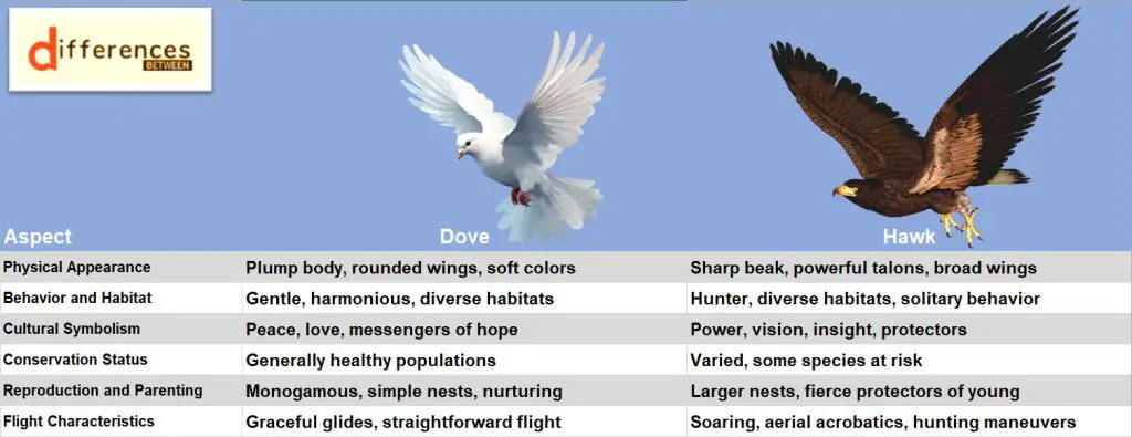 Dove vs Hawk: Key Differences and Contrasts Unveiled