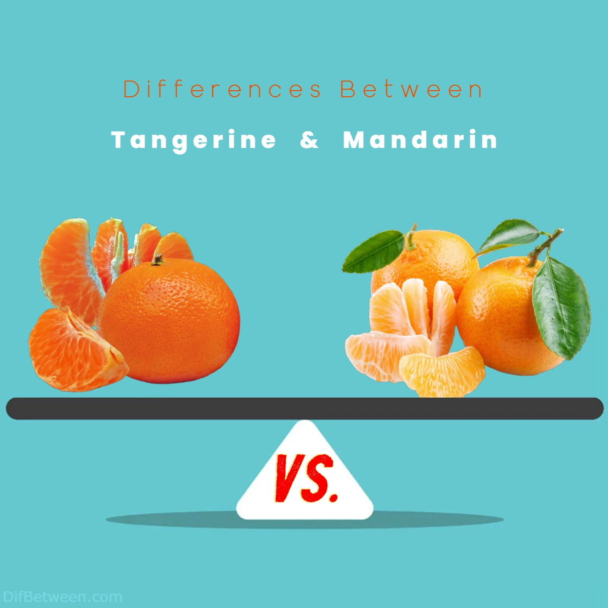 Tangerine vs. Mandarin: Decoding the Citrus Conundrum