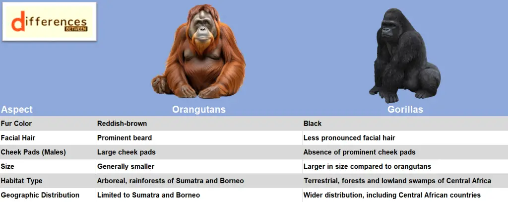 Orangutan vs Gorilla: Unveiling Unique Contrasts in Nature