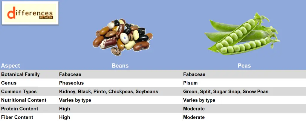 Beans vs Peas: Nutritional, Culinary, and Botanical Contrasts