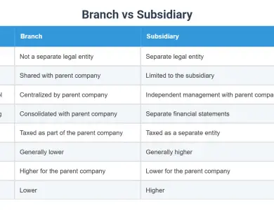 Subsidiary vs Division