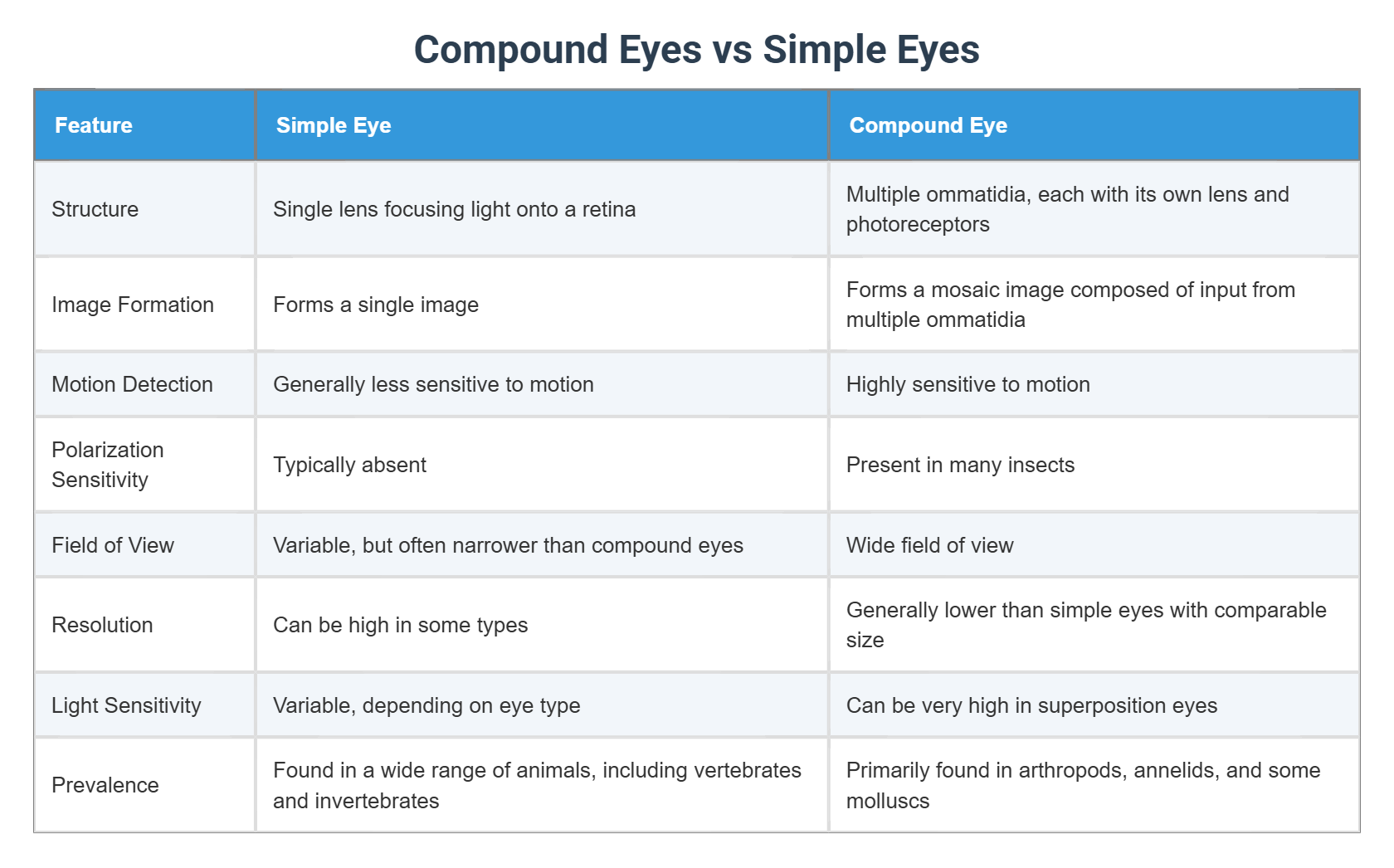Compound Eyes vs Simple Eyes